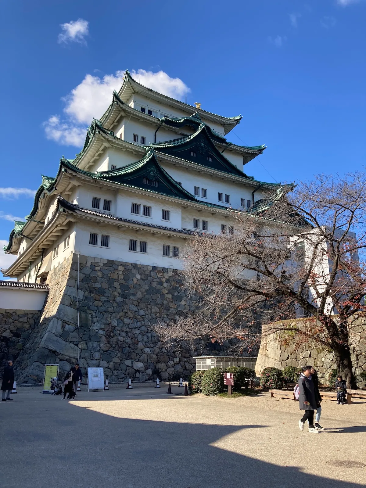 Symbol of Nagoya! Nagoya Castle | Nagoya explorers